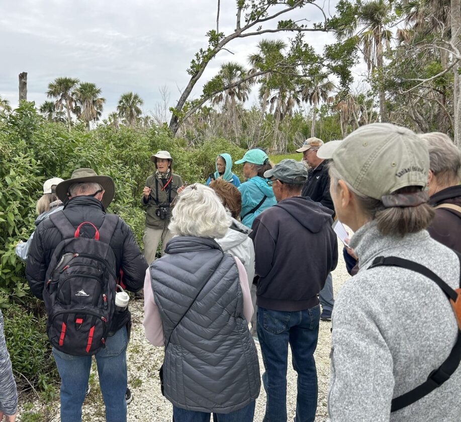 UPDATE: Weeds ‘n’ Seeds plant walk planned - SANIBEL-CAPTIVA - Island ...